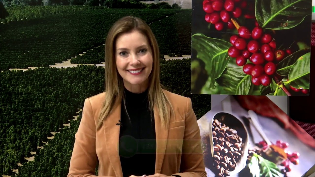 Café com TV - estreia ao vivo - 21/06 - parte 2 - YouTube