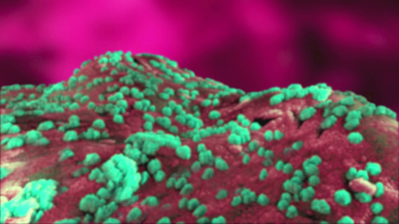 More Germs - YouTube