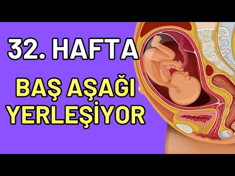 Hafta Hafta Gebelik - 32. HAFTA: Baş Aşağı Yerleşerek Doğuma Hazırlanıyor!