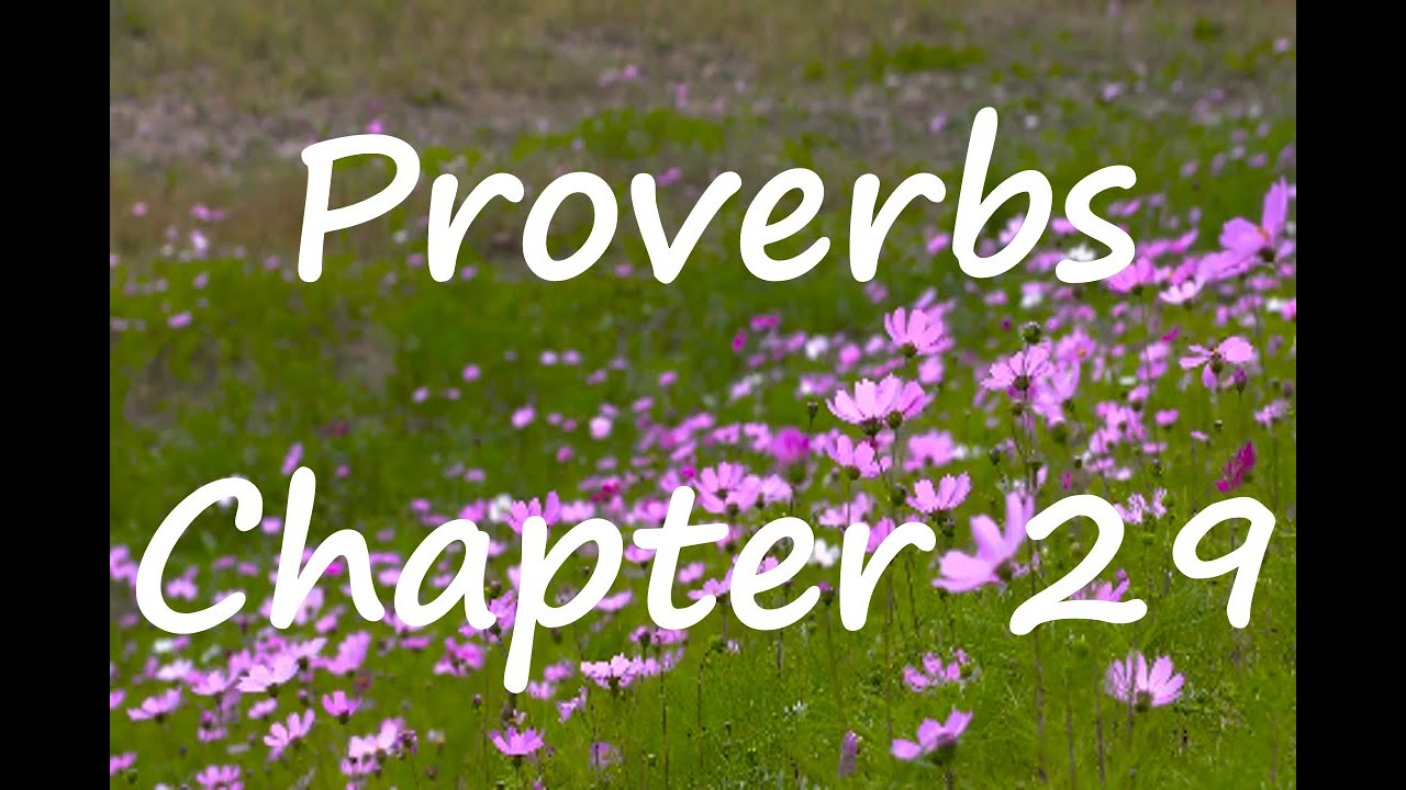 PROVERBS CHAPTER 29 KJV Flowers Meadow Meditation Personal Growth 30 Day Challenge - YouTube