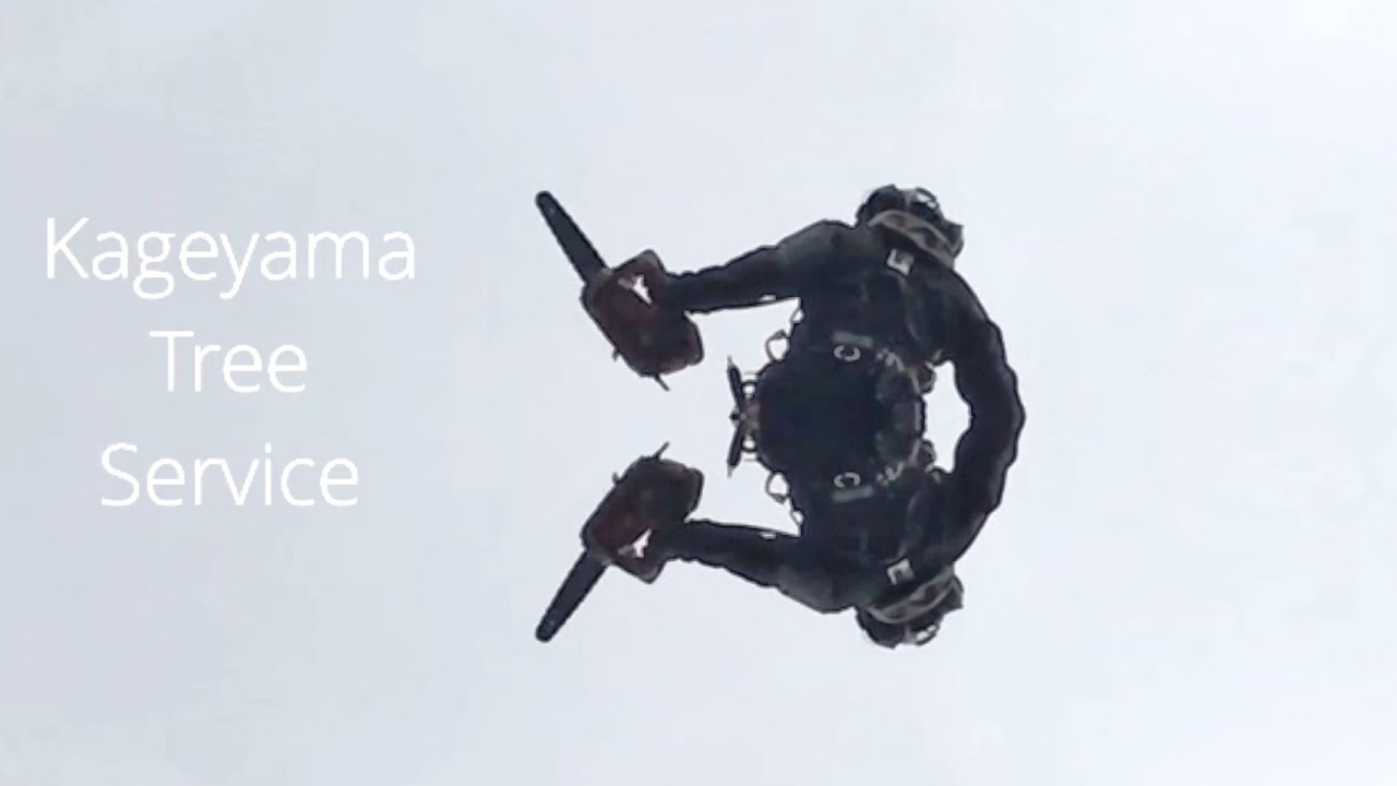 Kageyama Tree service vol 3 / Bulldog Bone / DMM Captain Hook / Twin ...