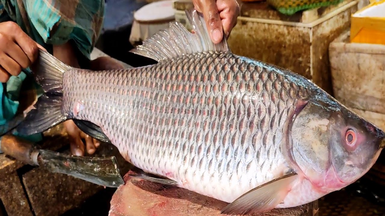 Big Rohu Fish Skinning & Chopping B y Expert Fish Cutter | Amazing Fish ...