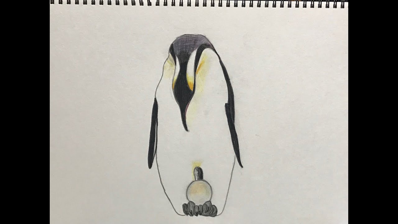 How to draw penguin/penguin with egg/ΠΙΓΚΟΥΙΝΟΣ ΜΕ ΑΥΓΌ/ΠΩΣ ΝΑ ...