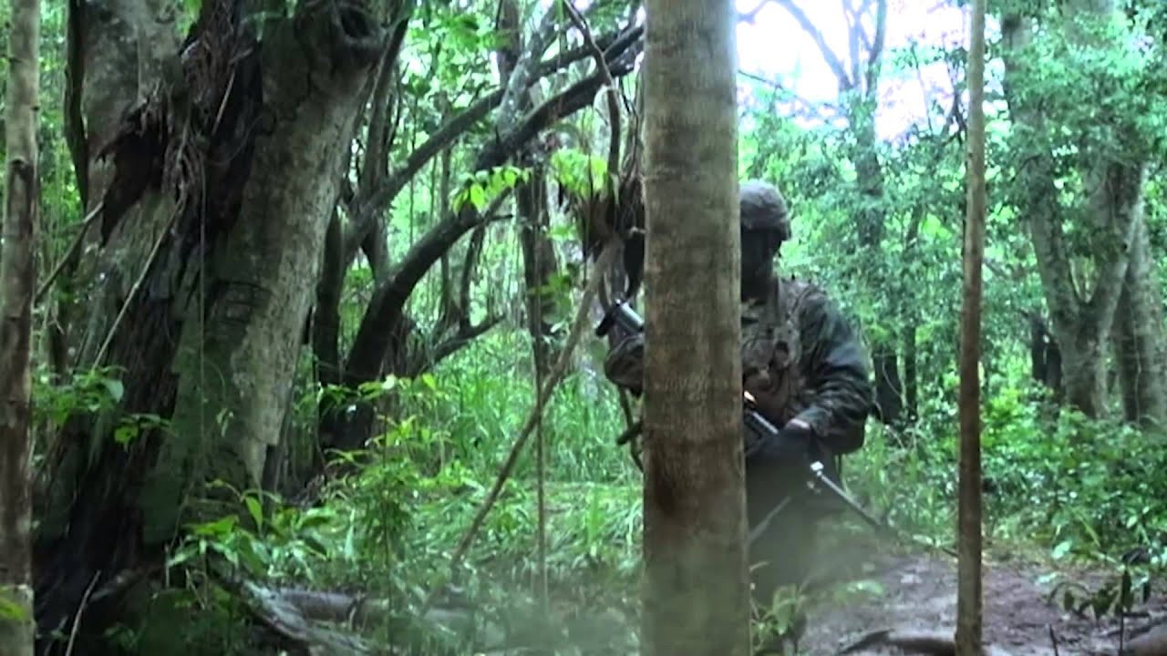 5 Pillars - Jungle Operations Training Course - YouTube