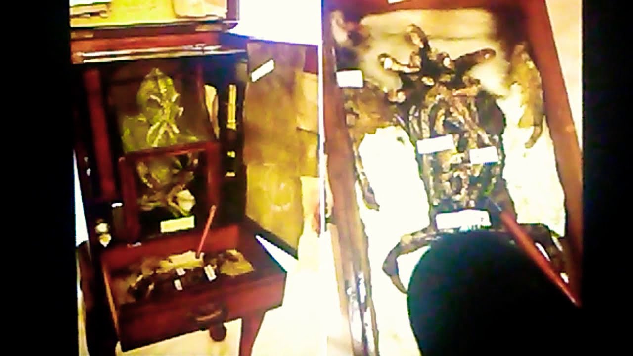 Interdimensional entity in a private collection 100% real - YouTube