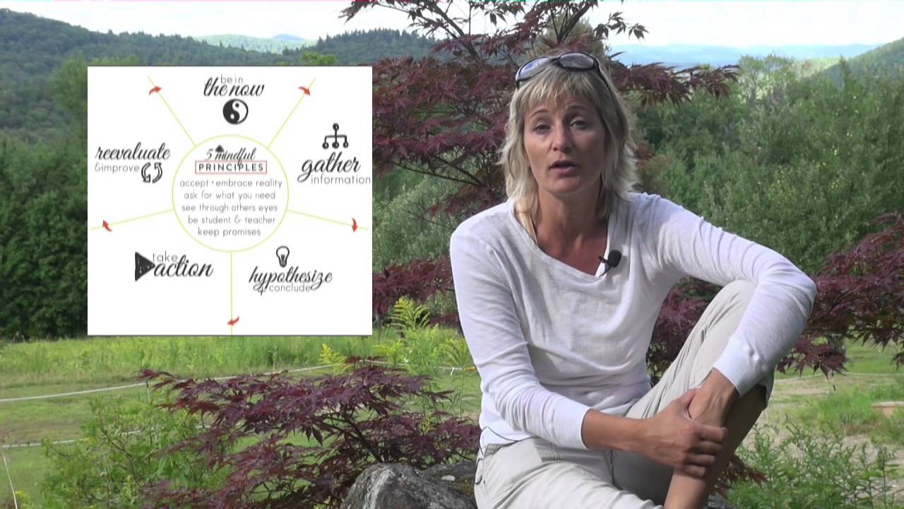 Stressed? Frustrated? Need help? - YouTube