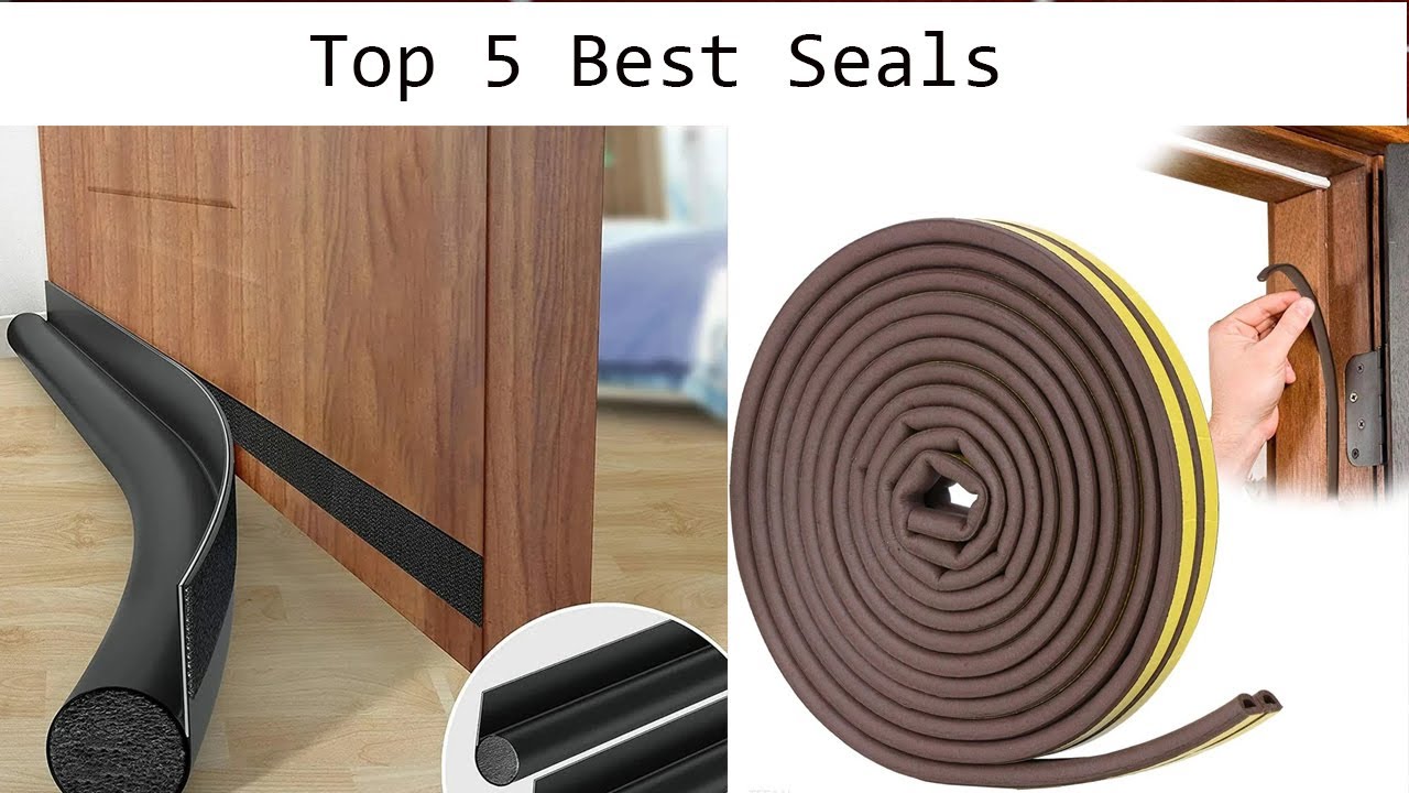 Top 5 Best Seals in 2025 - YouTube