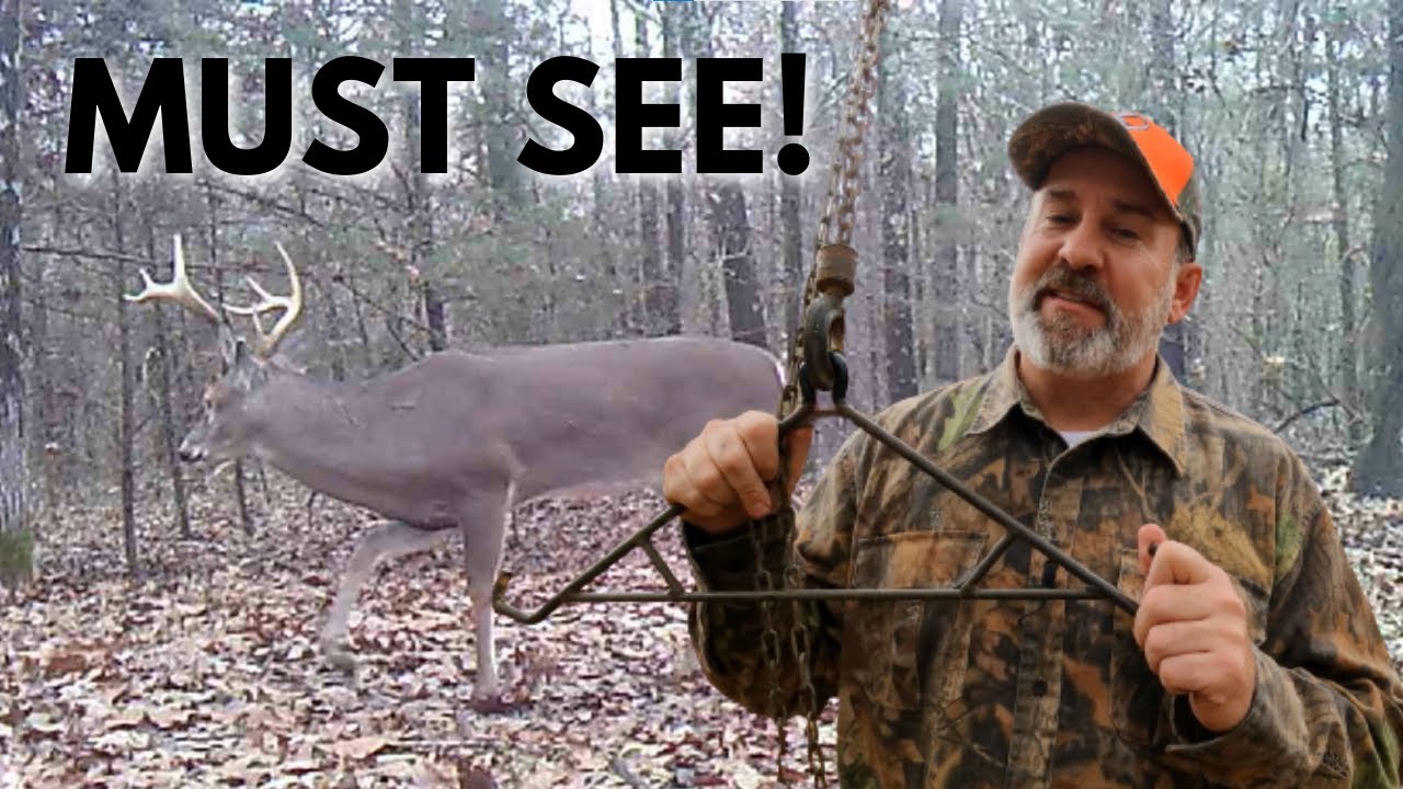 You MUST SEE These AMAZING Trail Camera Videos! | Big Bucks are BACK ...