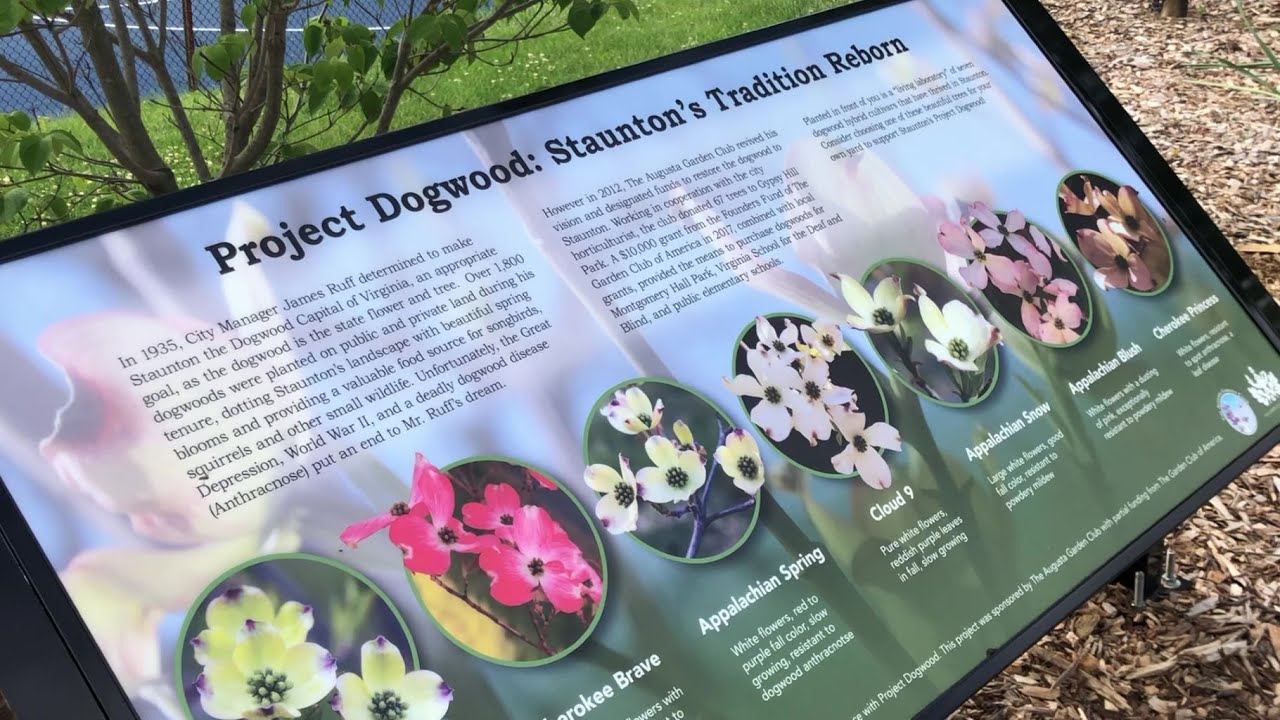 Project Dogwood - YouTube