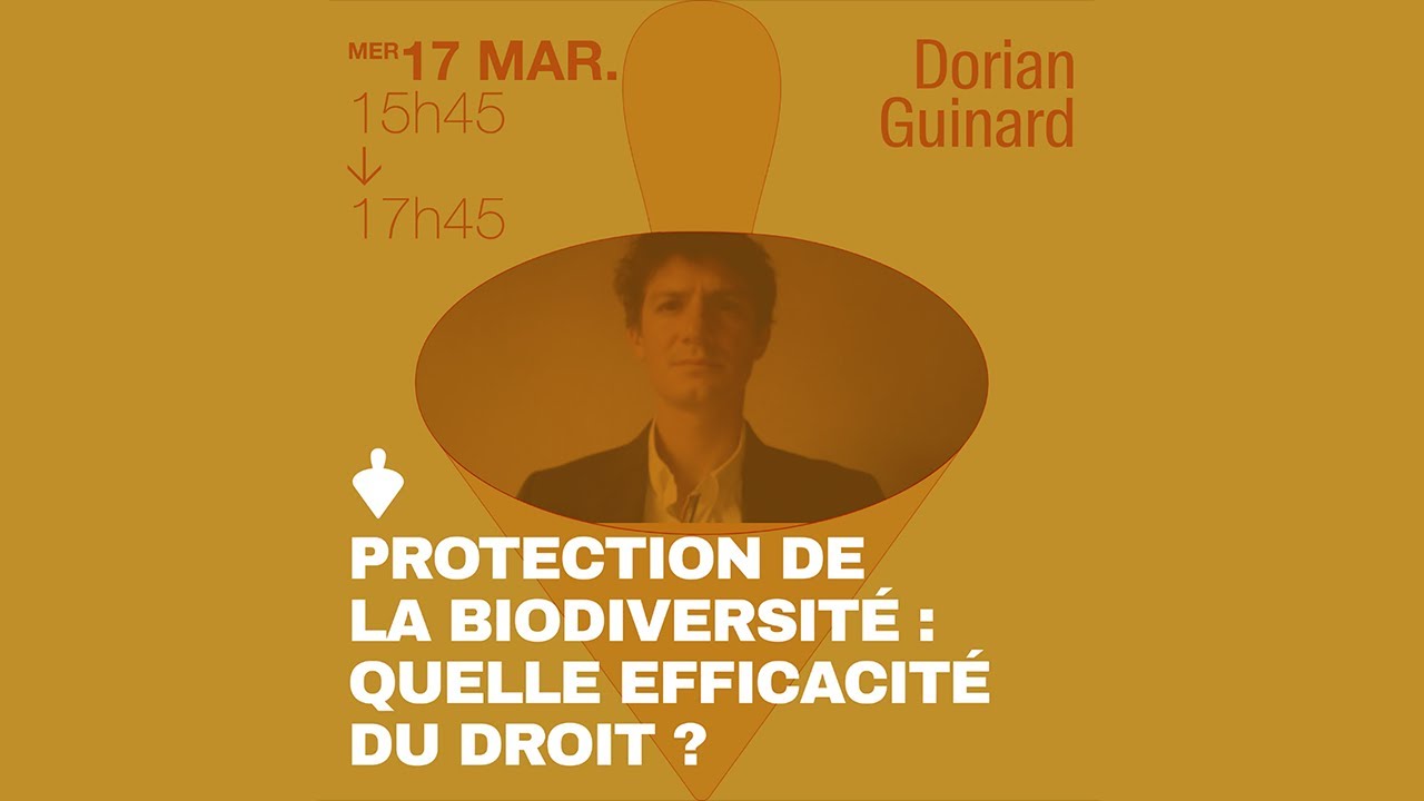 [REDIFFUSION] Webinaire sur la protection de la biodiversité avec Dorian Guinard - YouTube