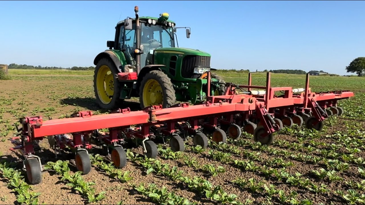 FARM UPDATE 267 Hoeing sugar beet and blackgrass control costs - YouTube
