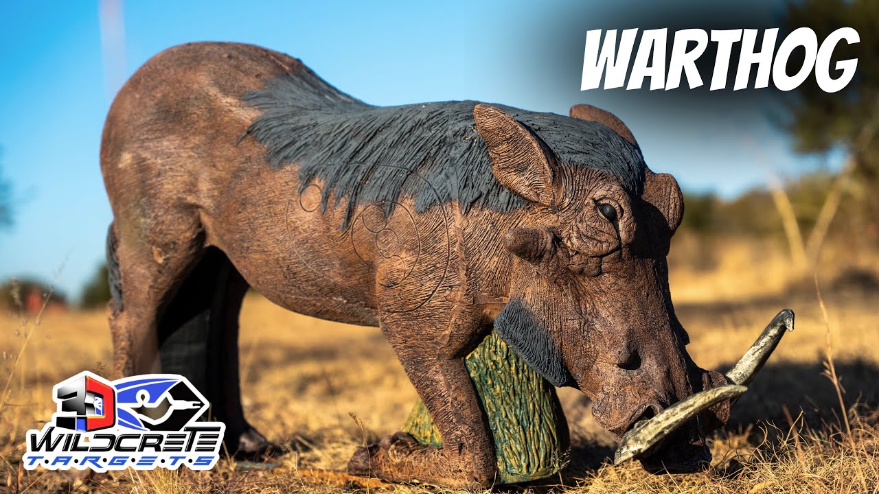 Warthog - 3D Archery Target - YouTube
