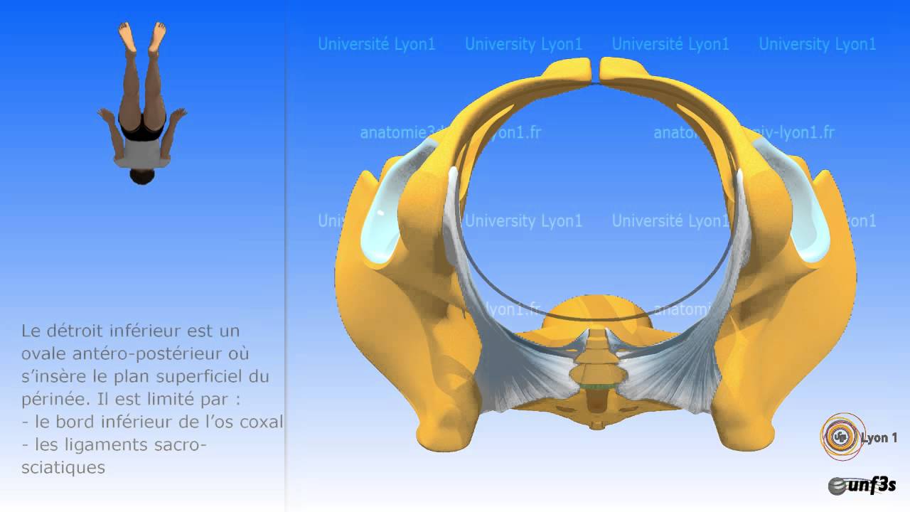 Yvelines Un Corps Dcouvert Dans Le Bassin De La