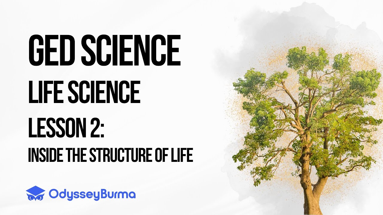 GED Life Science Lesson 2: Inside the Structure of Life - YouTube