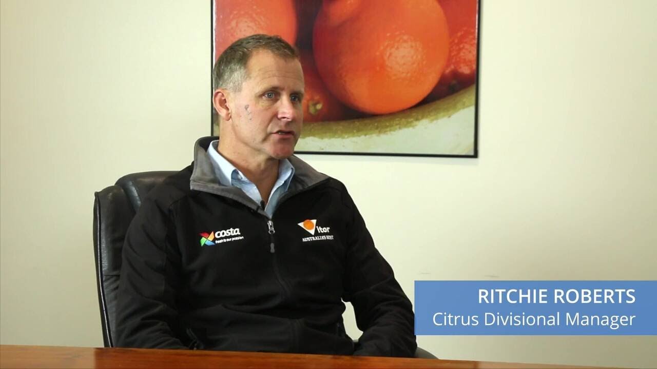 Customer story - Costa Group - Integrated Citrus Solution - YouTube