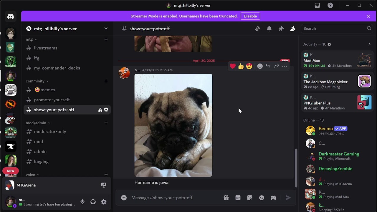 let's have fun playing arena - YouTube