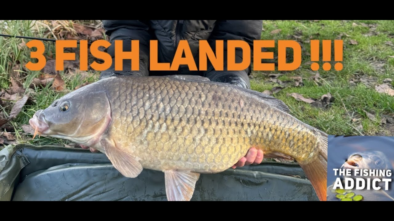 What A Way To Start 2024! Overnight Session At Manvell Farm Fisheries ...