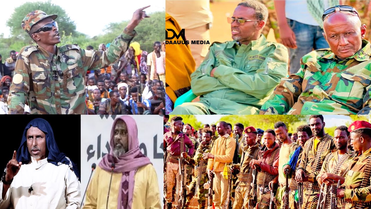 DAAWO: Beelaha Habargidir, Murusade & Xawaadle Oo Ku Midoobay Dagaalka ...