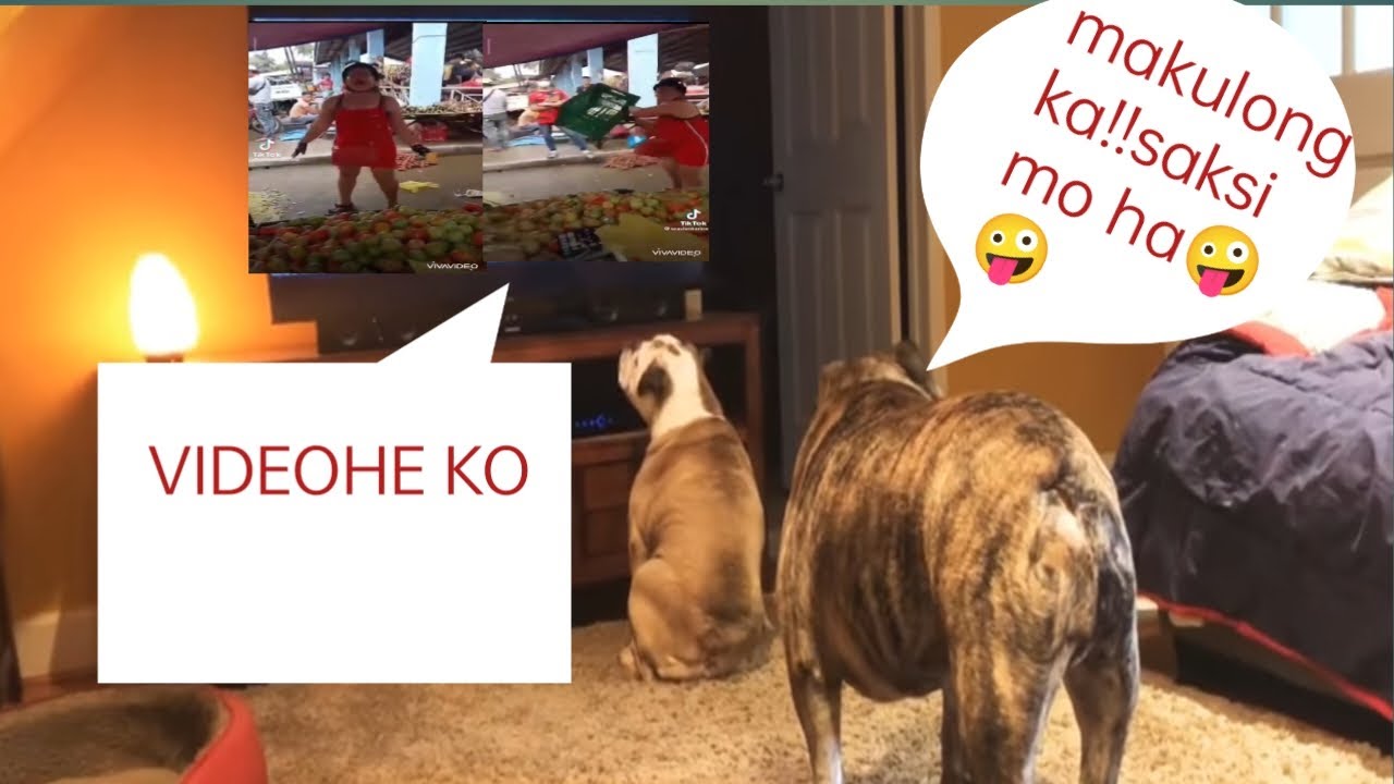 You are not allowed | videohe ko | mapriso ka| viral - YouTube