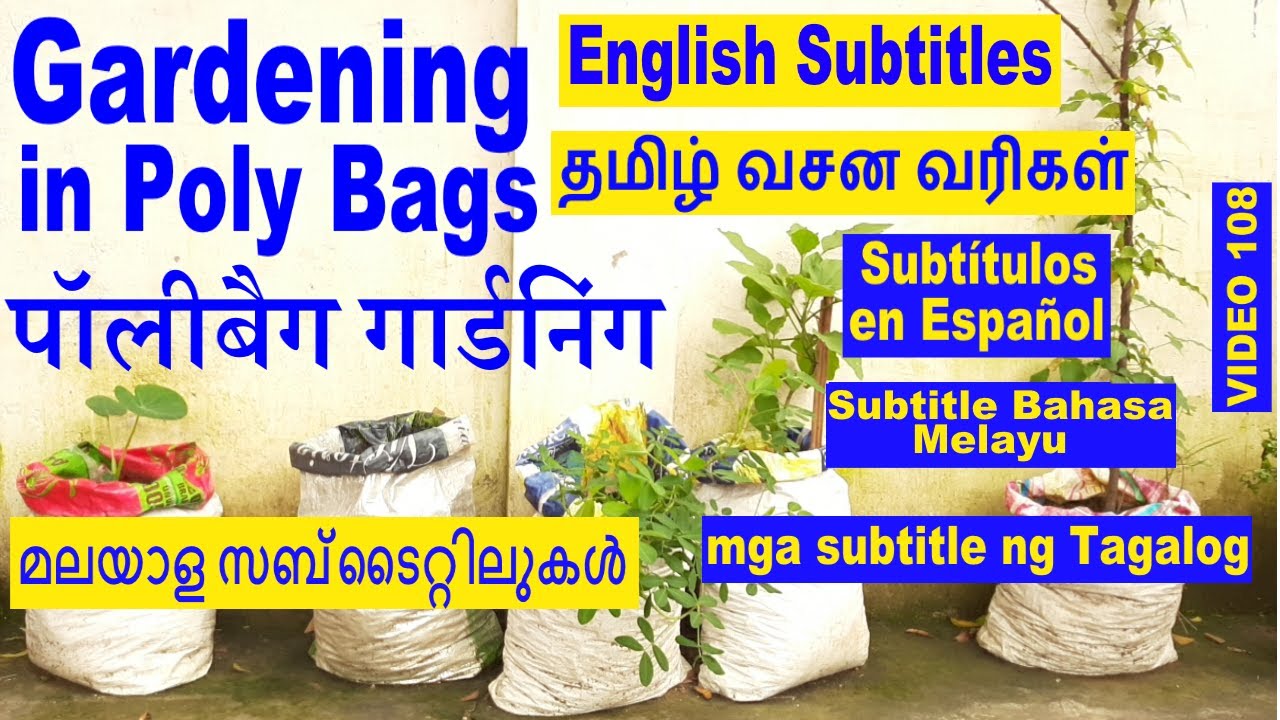 Vegetable gardening ideas|How to start in bags at home - YouTube
