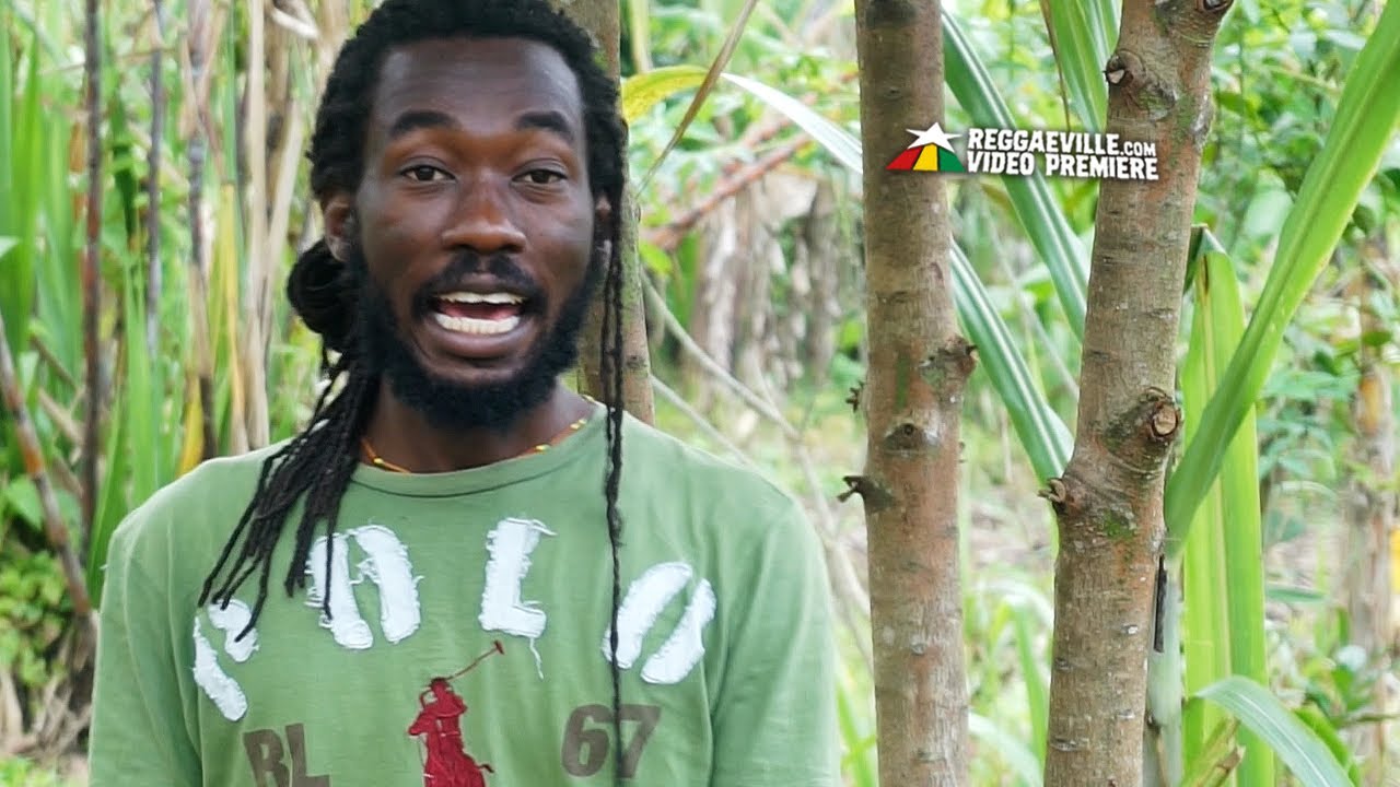 Junior Morgan - Thankful [Official Video 2017] - YouTube