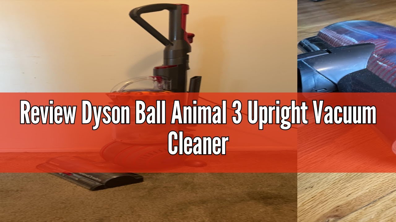 Review Dyson Ball Animal 3 Upright Vacuum Cleaner - YouTube
