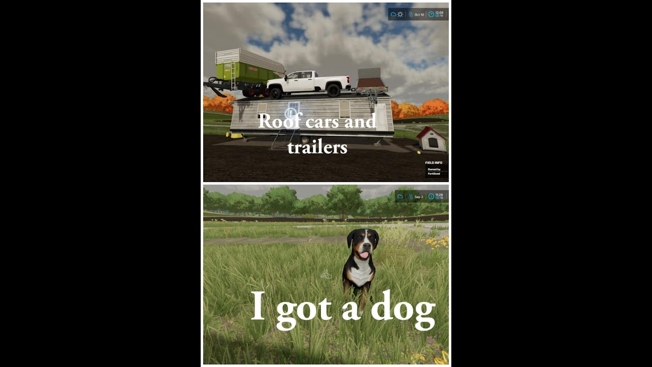 new dog! Farming simulator 22 EP 3 - YouTube