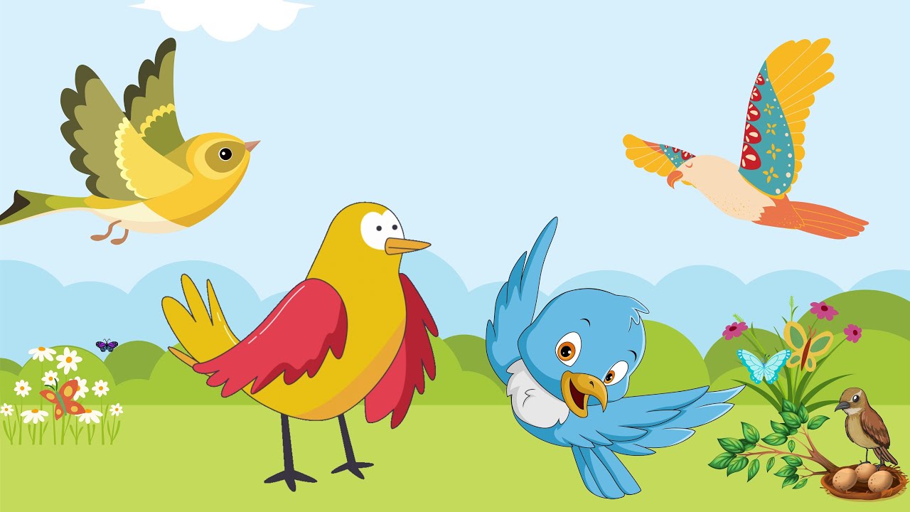 Name of Birds in English | Birds Learning Video for Kids - YouTube