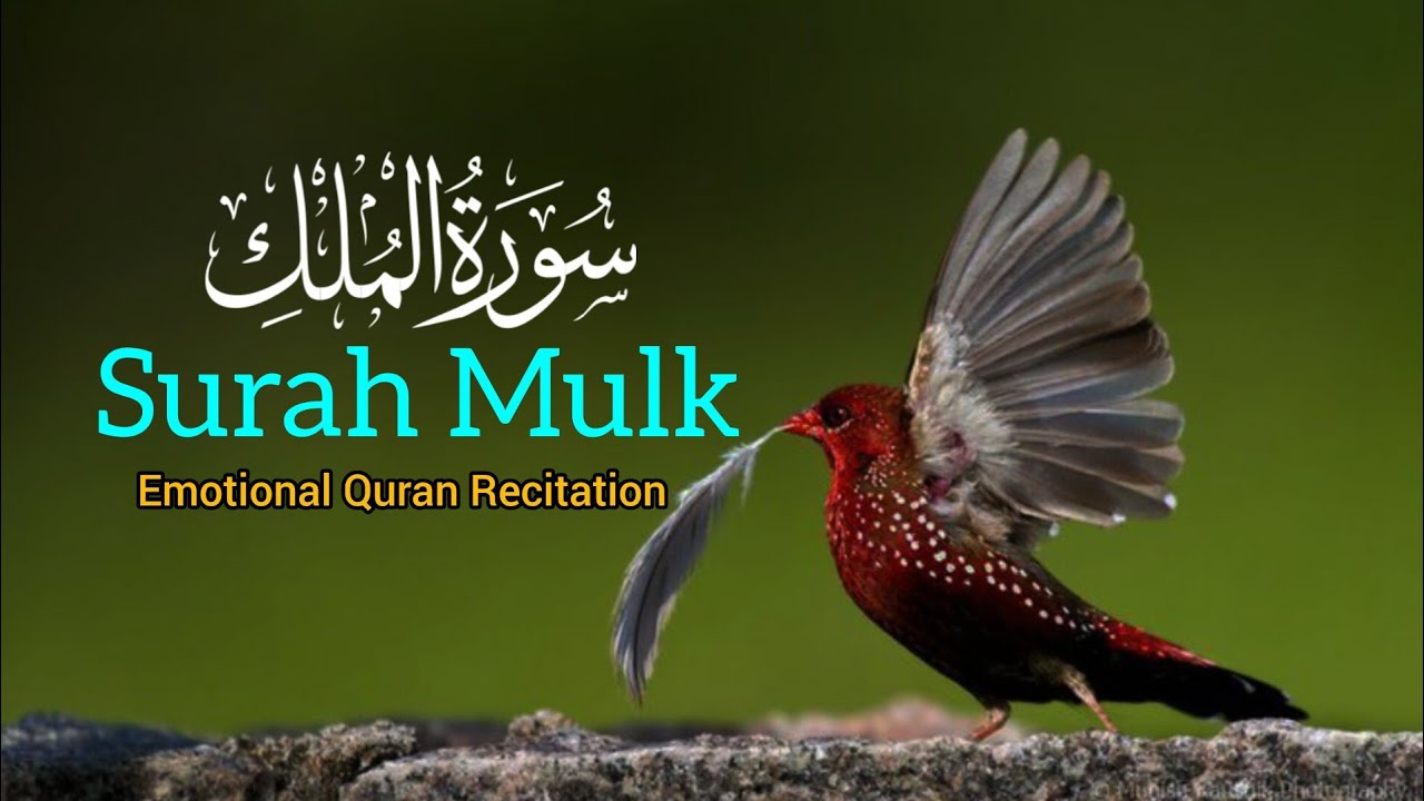 Surah Mulk ki tilawat | Surah Mulk beautiful recitation | surah mulk ...