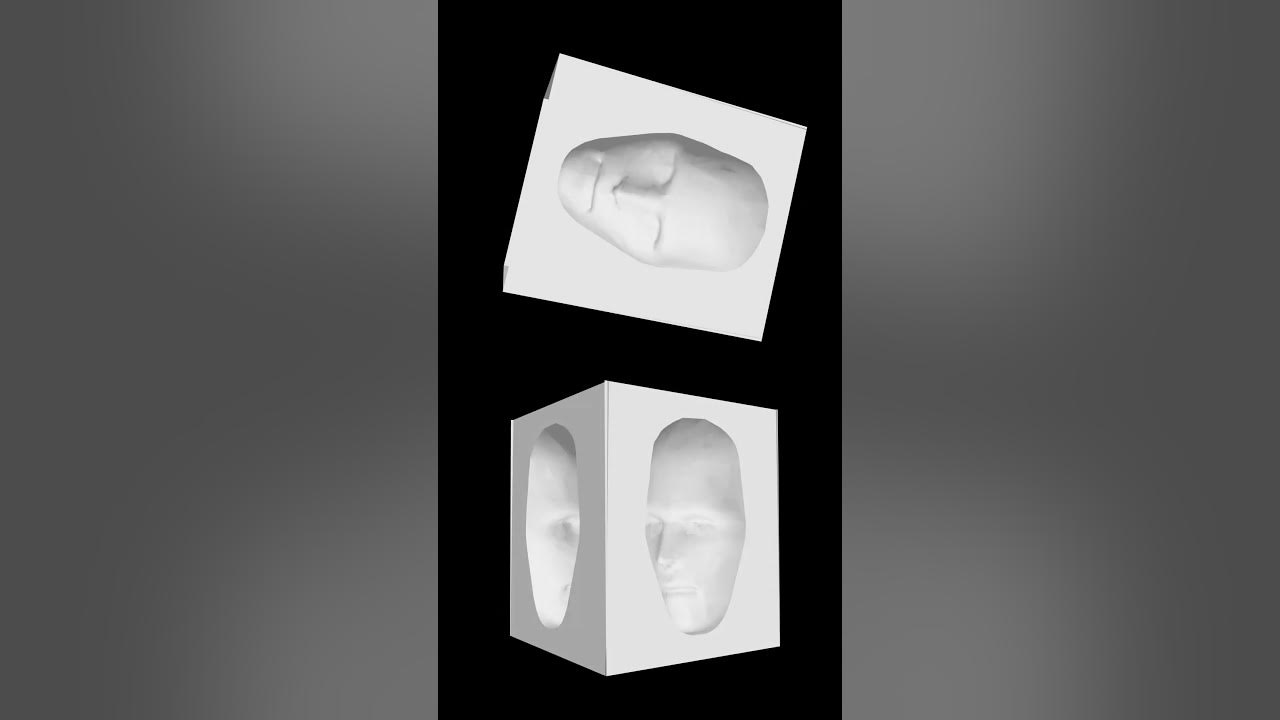 Amazing geometric metamorphoses of a 3D human face. Transition from ...