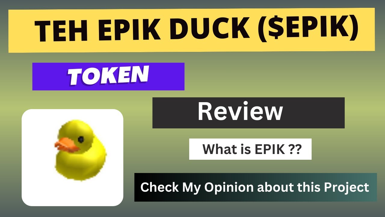 What is TEH EPIK DUCK (EPIK) Coin | Review About EPIK Token - YouTube