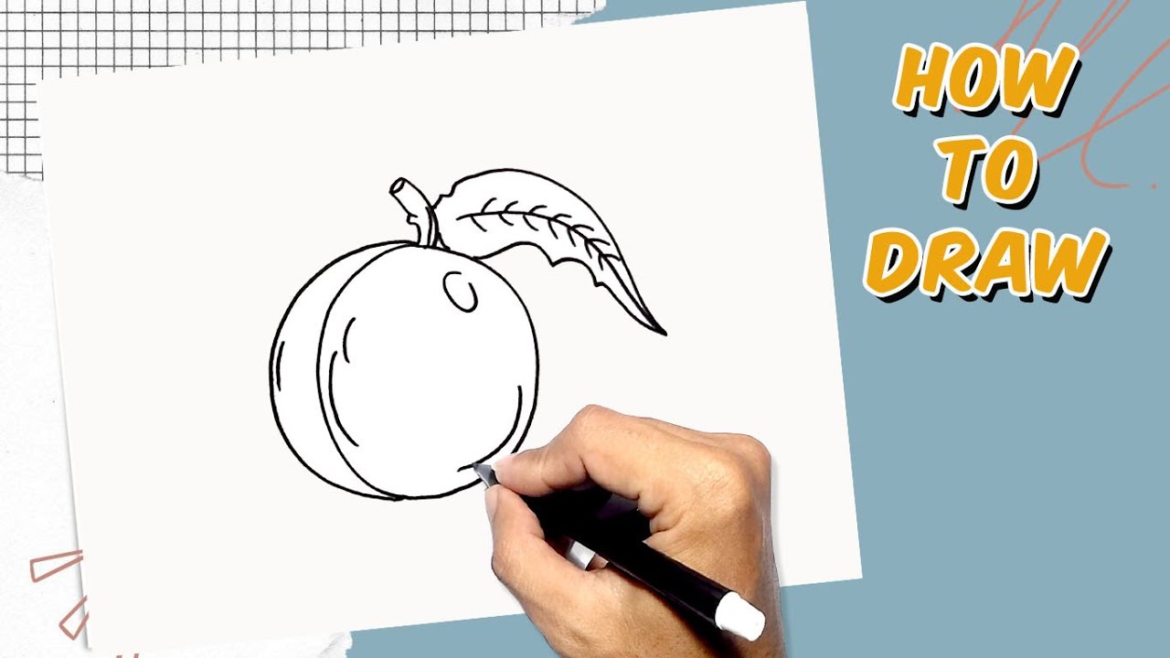 How to Draw Nectarine - YouTube