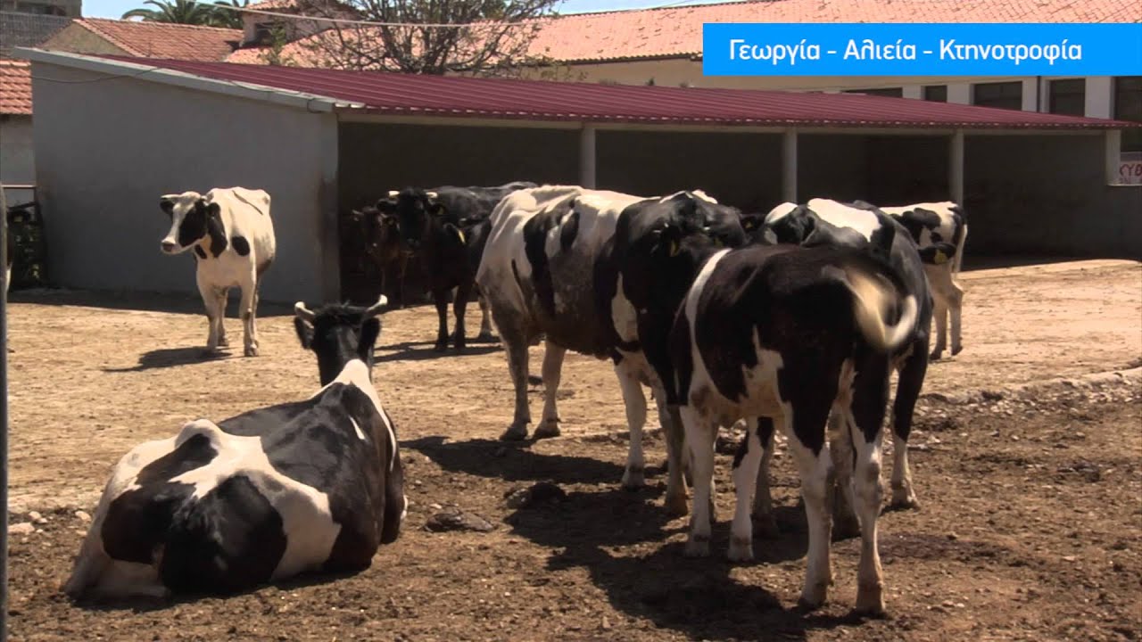 Γεωργία - Αλιεία - Κτηνοτροφία - YouTube