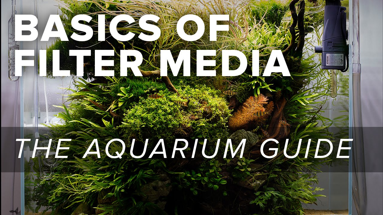 Basics of Filter Media: Mechanical Media - YouTube