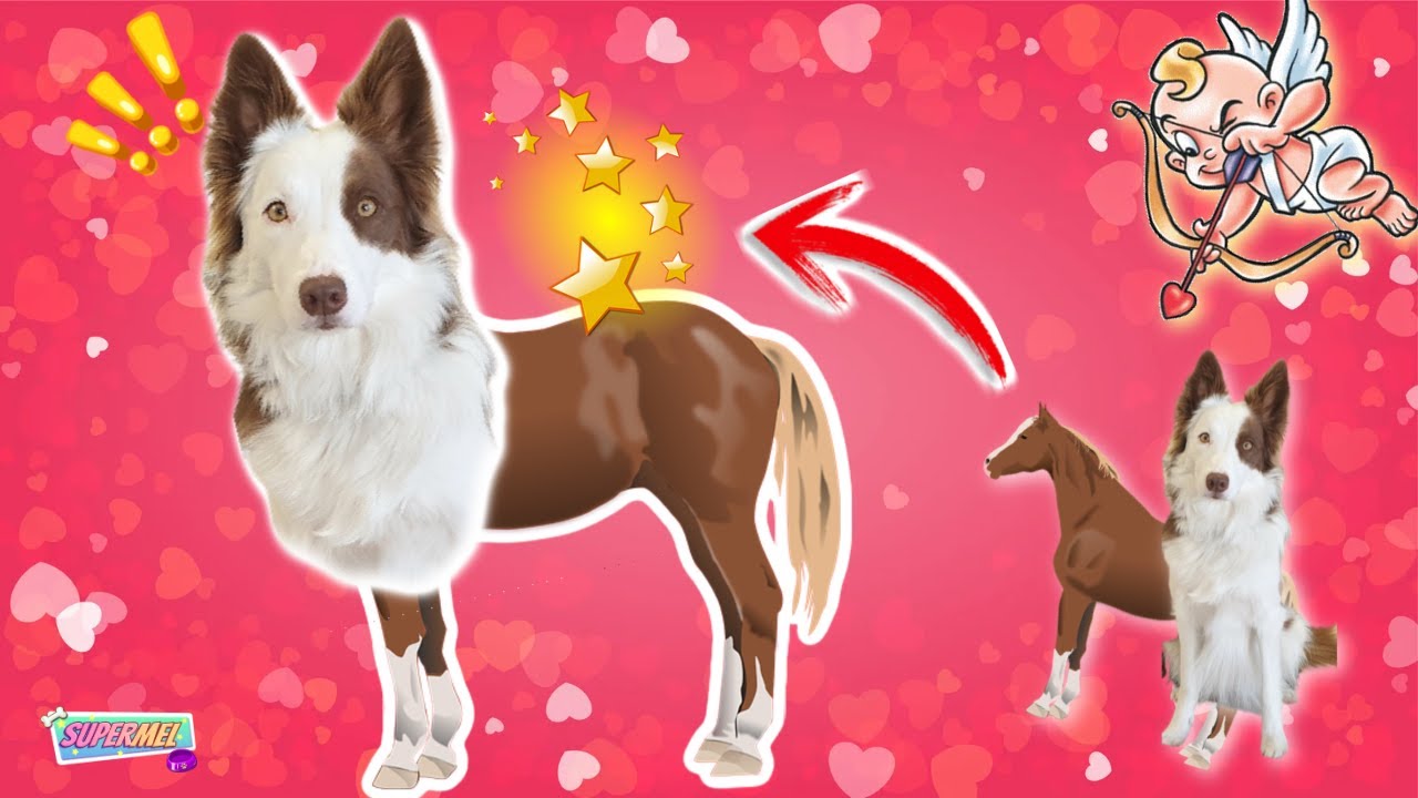 JUGAMOS a SER CUPIDO en SAN VALENTIN *MUY LOCO* Mel Gamer - YouTube