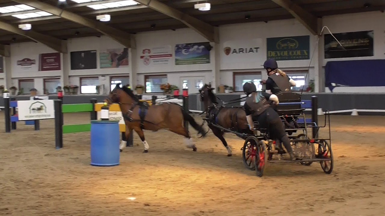 Indoor carriage driving finals, Keysoe, 2019 - pony tandem - YouTube