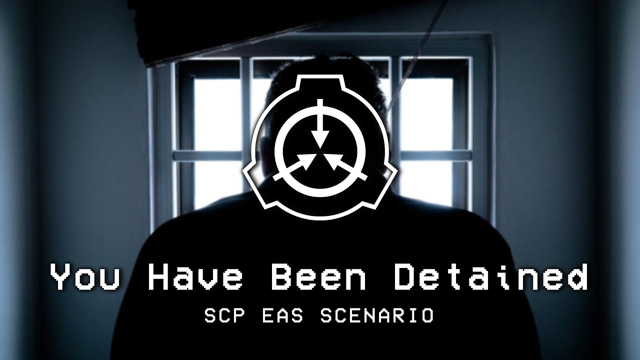 You Have Been Detained – SCP EAS Scenario - YouTube