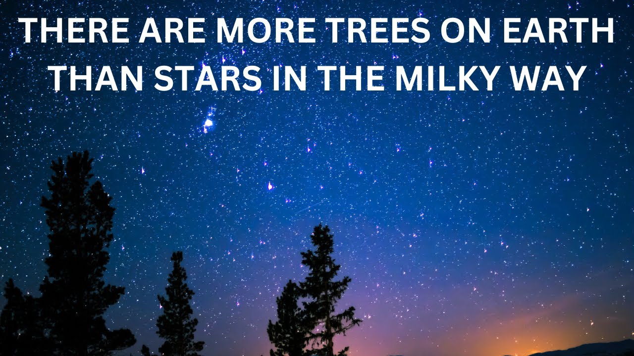 THERE ARE MORE TREES ON EARTH THAN STARS IN THE MILKY WAY - YouTube