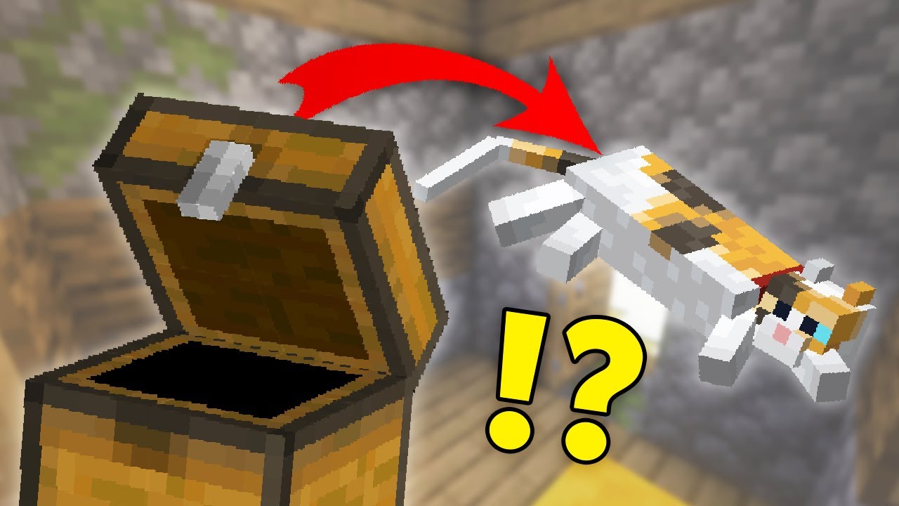 Get Off My Chest! [Plugin Showcase] - YouTube