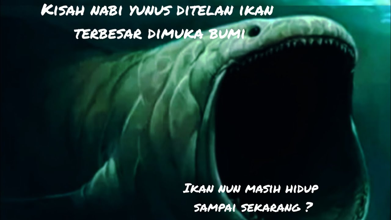 KISAH NABI YUNUS DAN IKAN NUN‼️APAKAH MASIH HIDUP SAMPAI SEKARANG⁉️ ...