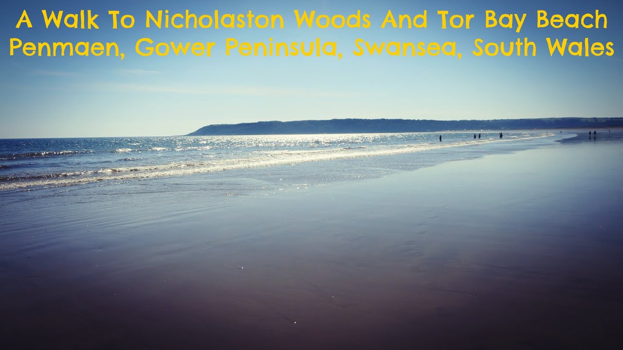 A Walk To Nicholaston Woods and Tor Bay Beach, Penmaen, Gower Peninsula ...