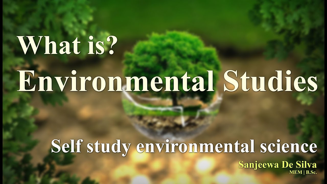 Environmental Studies Introduction for Beginners: A Crash Course in Eco ...