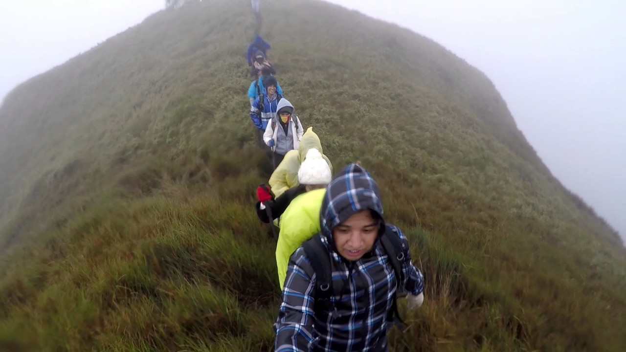 Mt. Pulag via Ambangeg Trail - YouTube