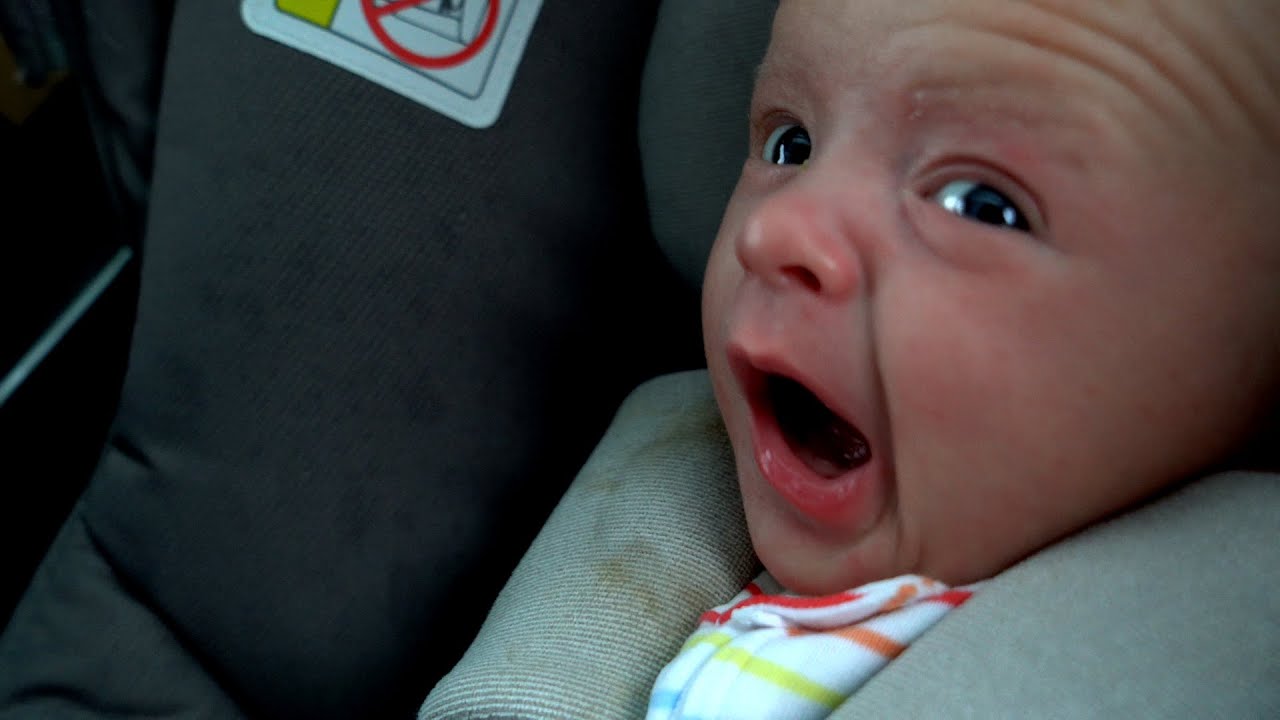 Bubs' Life -First Road Trip - YouTube