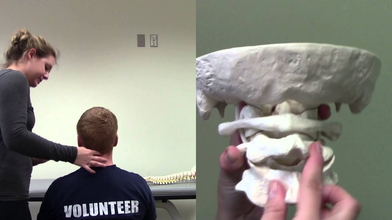 Alar Ligament Test - YouTube