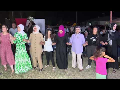 Çimen Mahallesi Musa Tolun Düğünü Dem Ailesi İle Demlendi