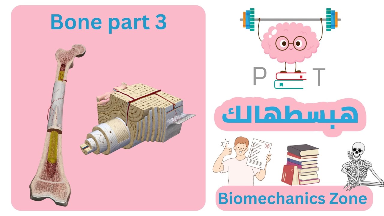Biomechanics of Bone part 3 - YouTube