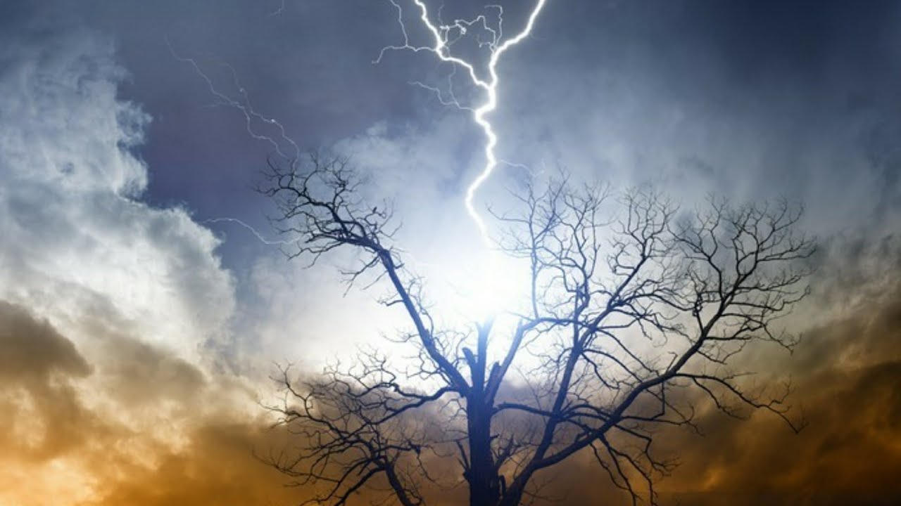 Rayos caen en árboles - YouTube