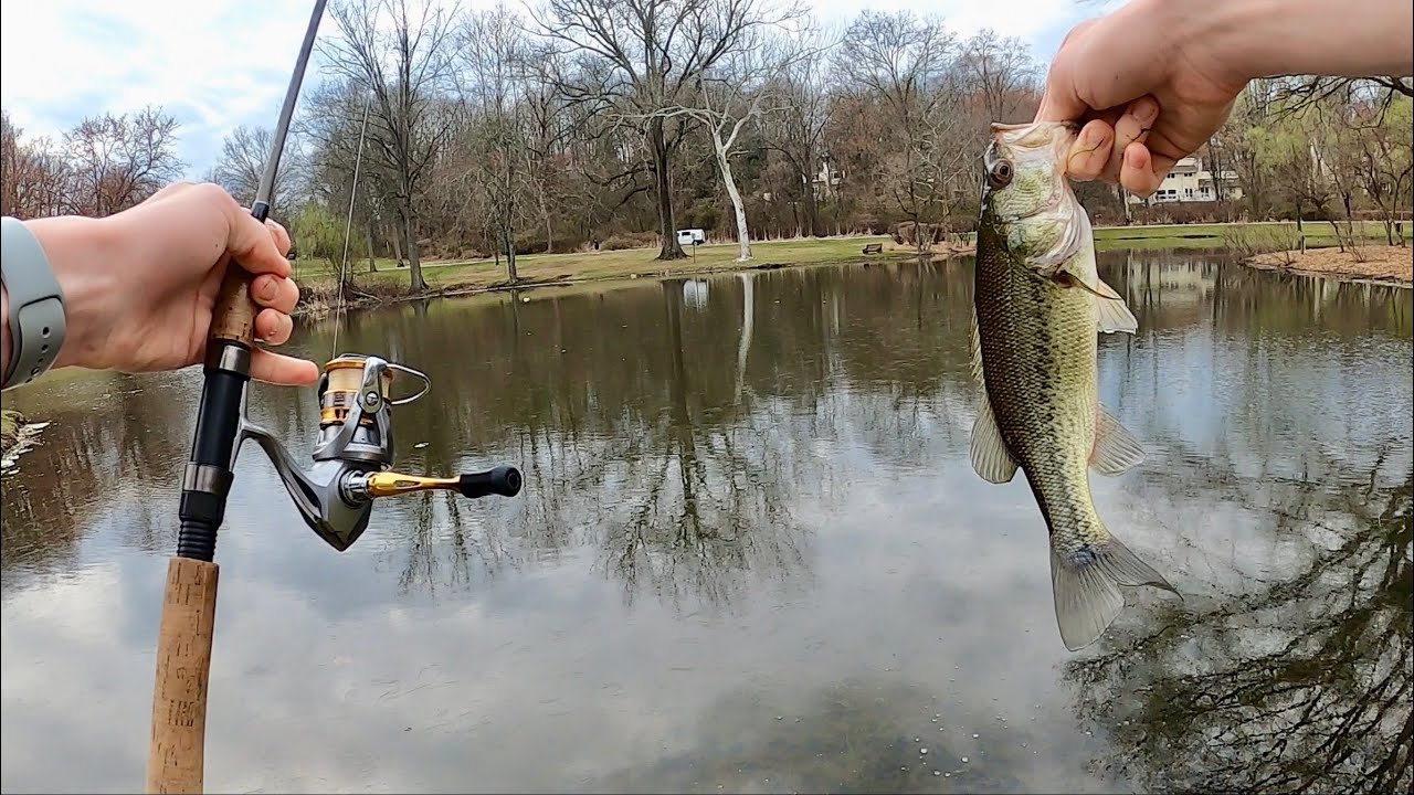 NONSTOP BASS ACTION! (The Fish Are Finally Biting!) - YouTube