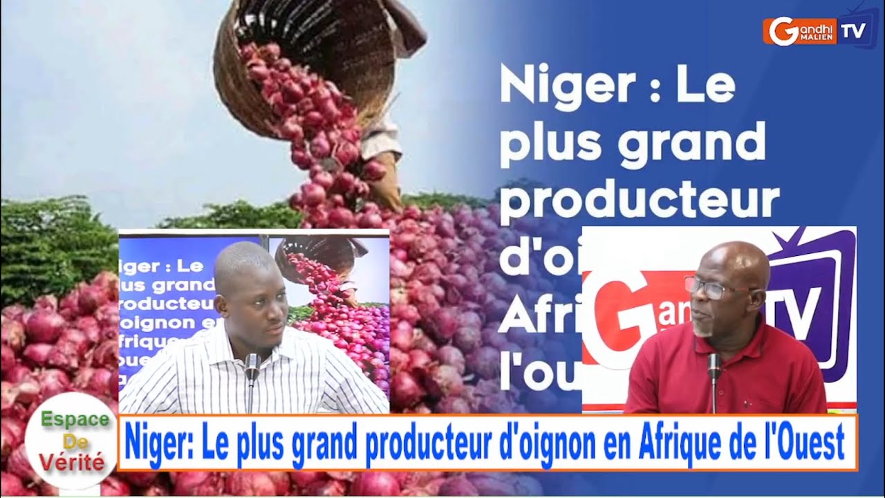 Espace De Vérité: Niger: Le plus grand producteur d'oignon en Afrique ...
